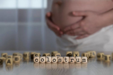 Colostrum Harvesting and why it's important. - From Bumps 2 Babies